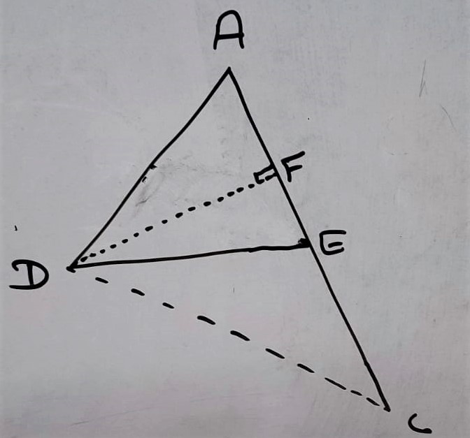 State and Prove Basic Proportionality (BPT) Theorem Class 10 - D.P. CLASSES